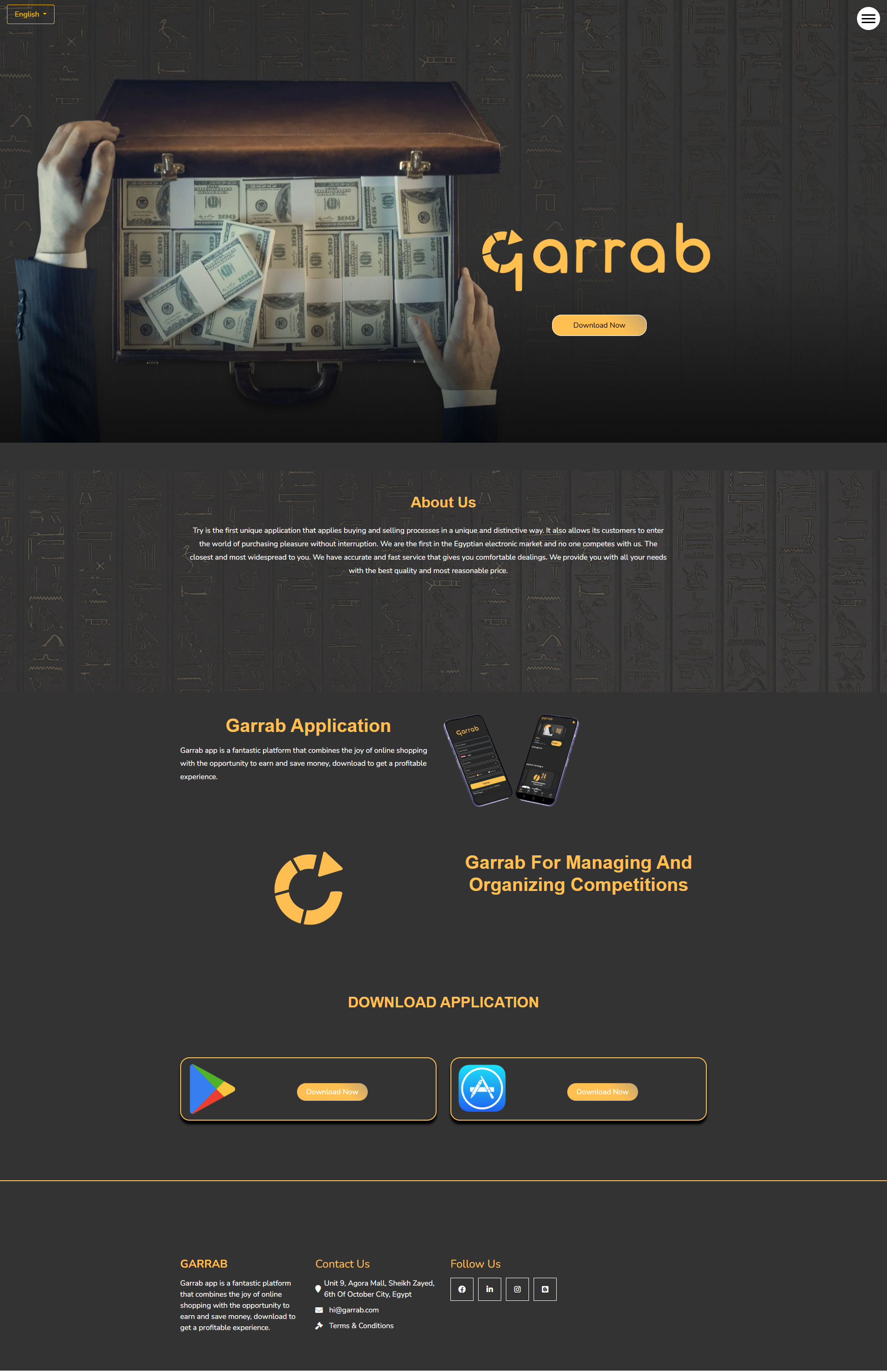 CV - Mostafa Abd-elnaby